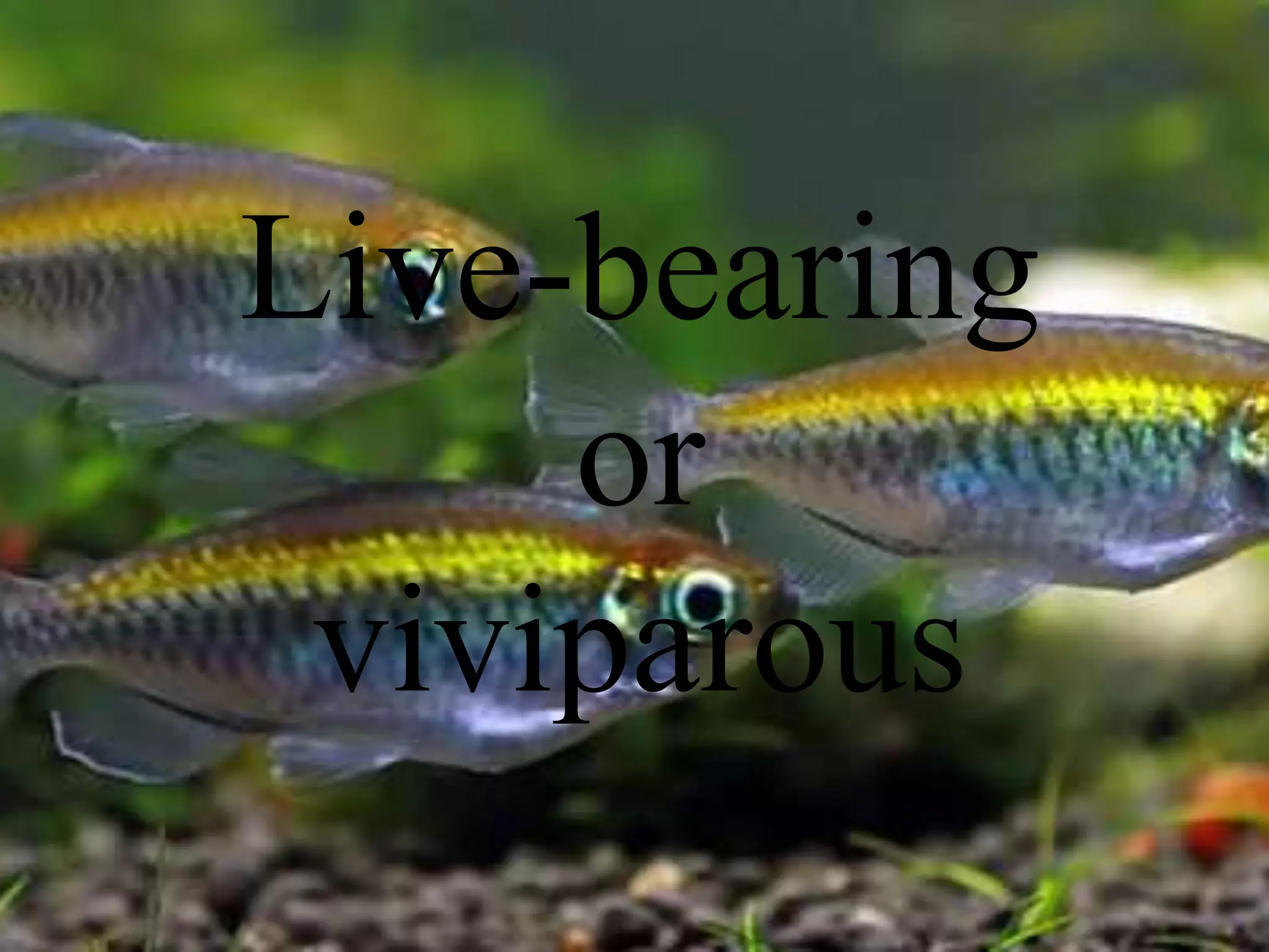 Chapter 3 : Perpetuation of Life | PPTX