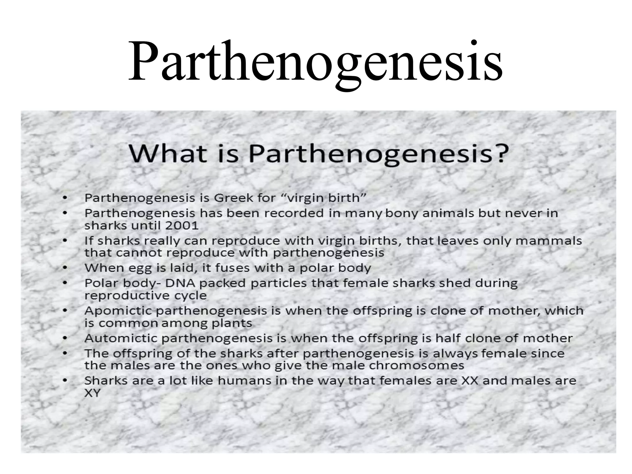 Chapter 3 : Perpetuation of Life | PPTX