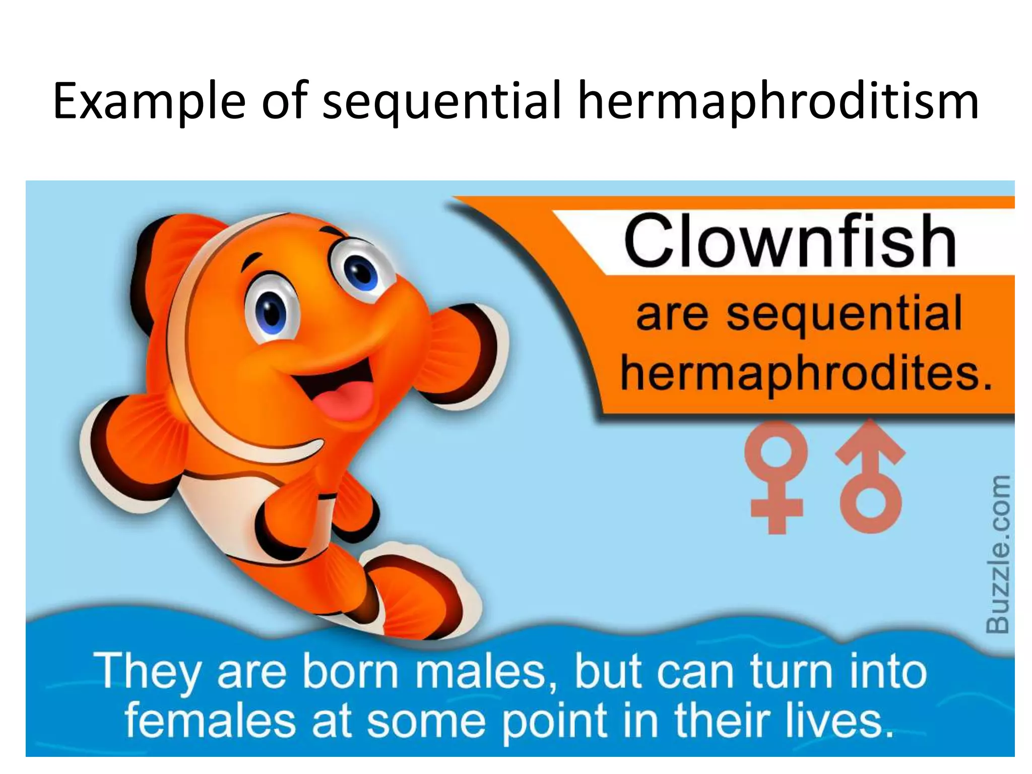 Chapter 3 : Perpetuation of Life | PPTX