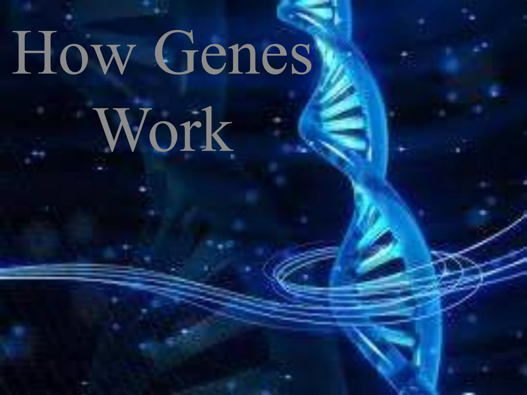 Chapter 3 : Perpetuation of Life | PPTX