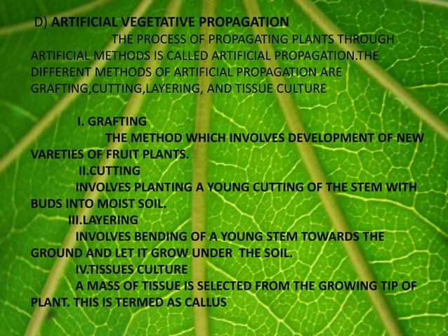 Chapter 3 : Perpetuation of Life | PPTX | Infertility | Reproductive Health