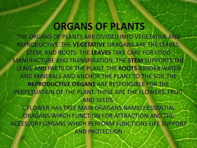 Chapter 3 : Perpetuation of Life | PPTX | Infertility | Reproductive Health