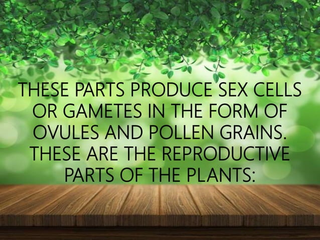 Chapter 3 : Perpetuation of Life | PPTX | Infertility | Reproductive Health