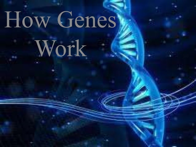 Chapter 3 : Perpetuation of Life | PPTX | Infertility | Reproductive Health