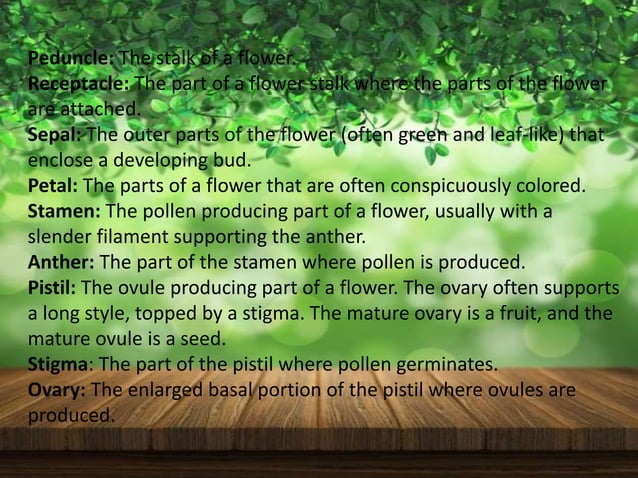 Chapter 3 : Perpetuation of Life | PPTX | Infertility | Reproductive Health