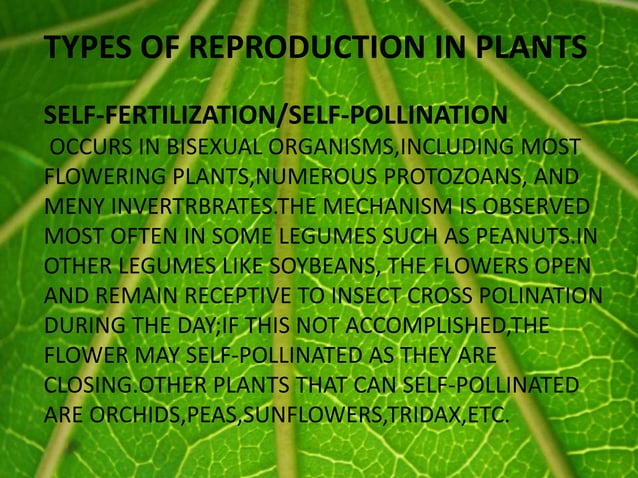 Chapter 3 : Perpetuation of Life | PPTX | Infertility | Reproductive Health