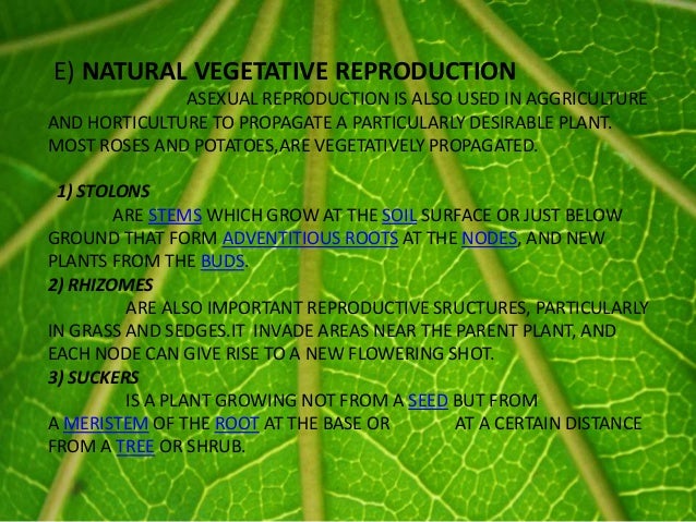 Chapter 3 : Perpetuation of Life