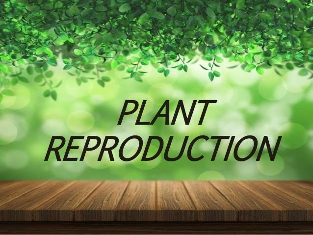 Chapter 3 : Perpetuation of Life