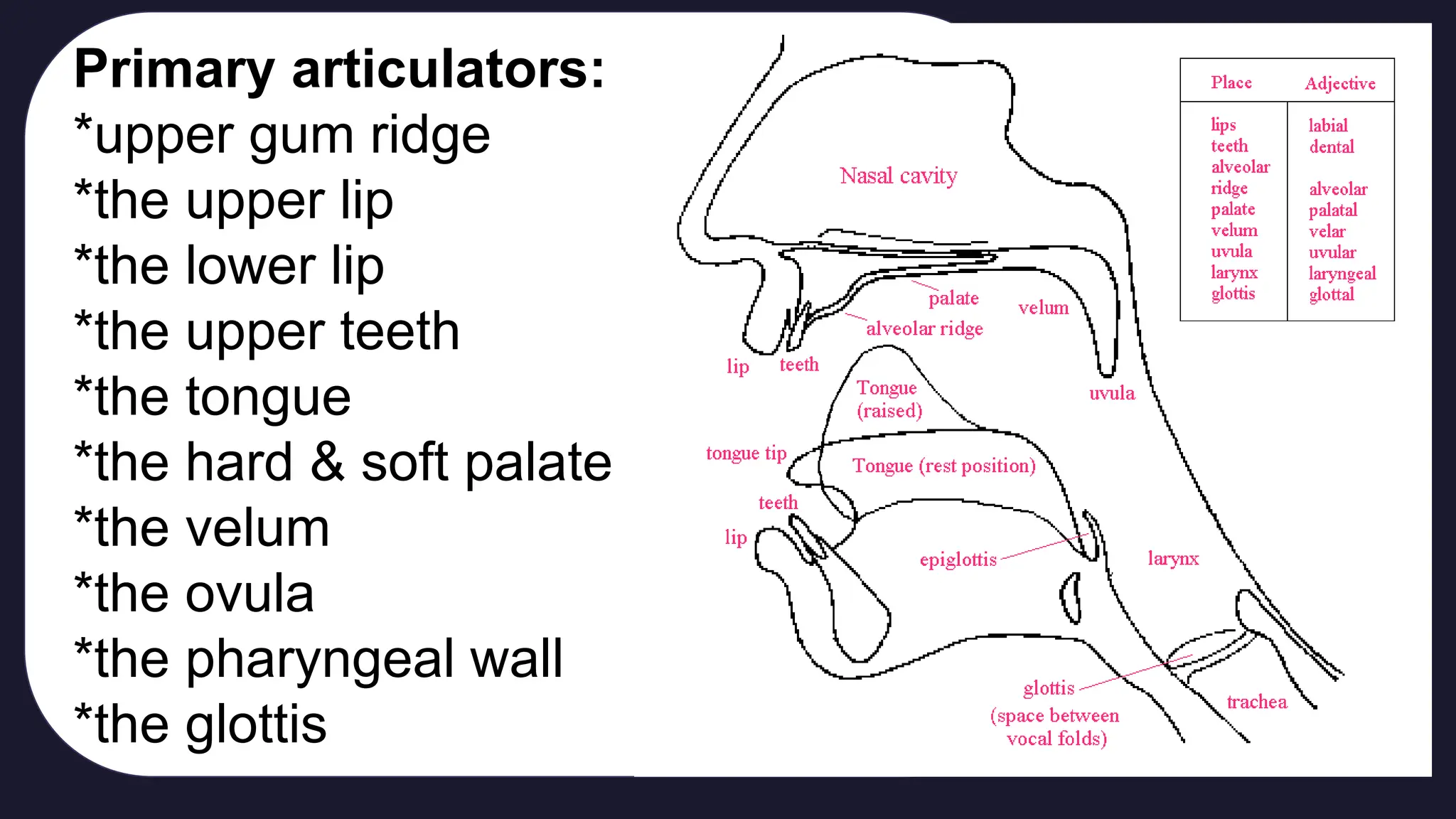 Chapter 3 Phonology , Lesson 1.1 Understanding the Concept.pptx