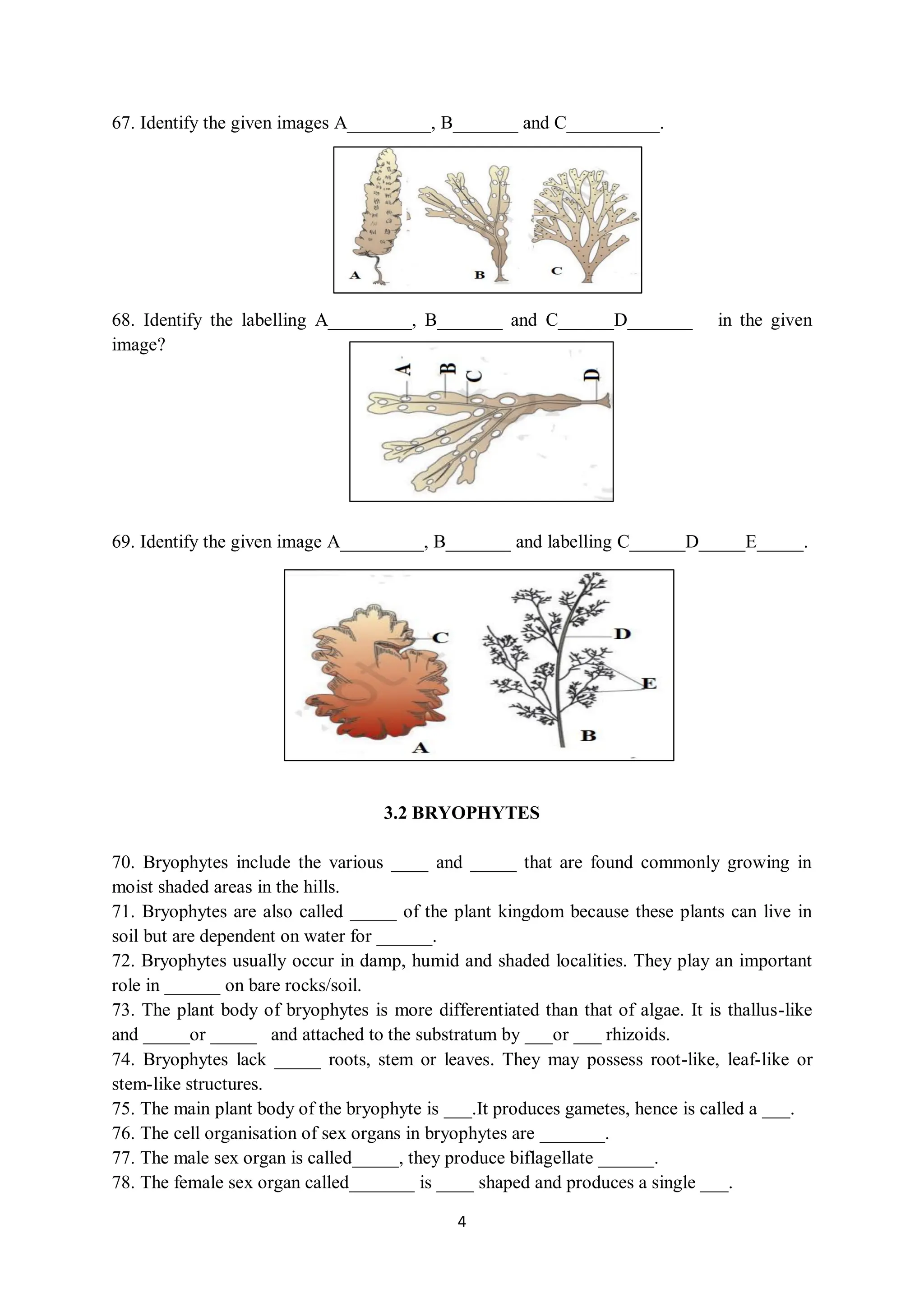 Plant kingdom: Algae, Bryophytes, Pteridophytes, Gymnosperms ...
