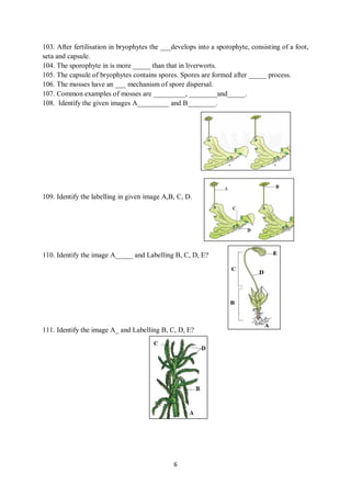 Plant kingdom: Algae, Bryophytes, Pteridophytes, Gymnosperms ...