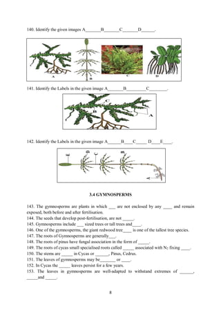 Plant kingdom: Algae, Bryophytes, Pteridophytes, Gymnosperms ...