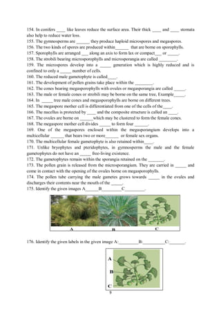 Plant kingdom: Algae, Bryophytes, Pteridophytes, Gymnosperms ...