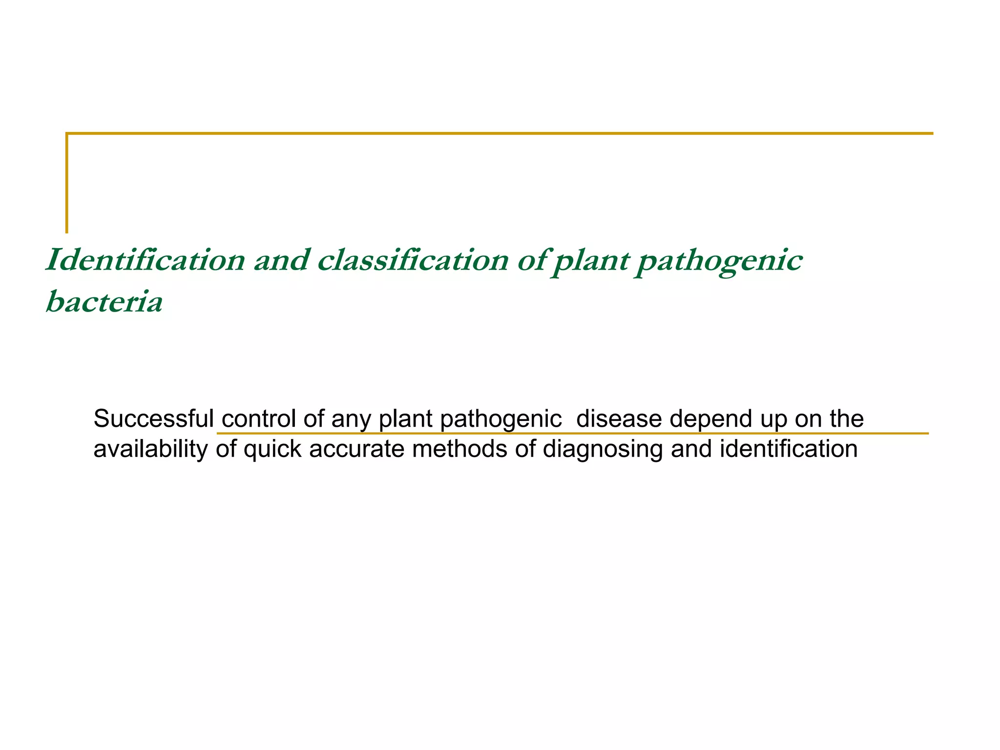 Chapter_ 3 Plant pathogenic Bacteria _identification and classification.ppt