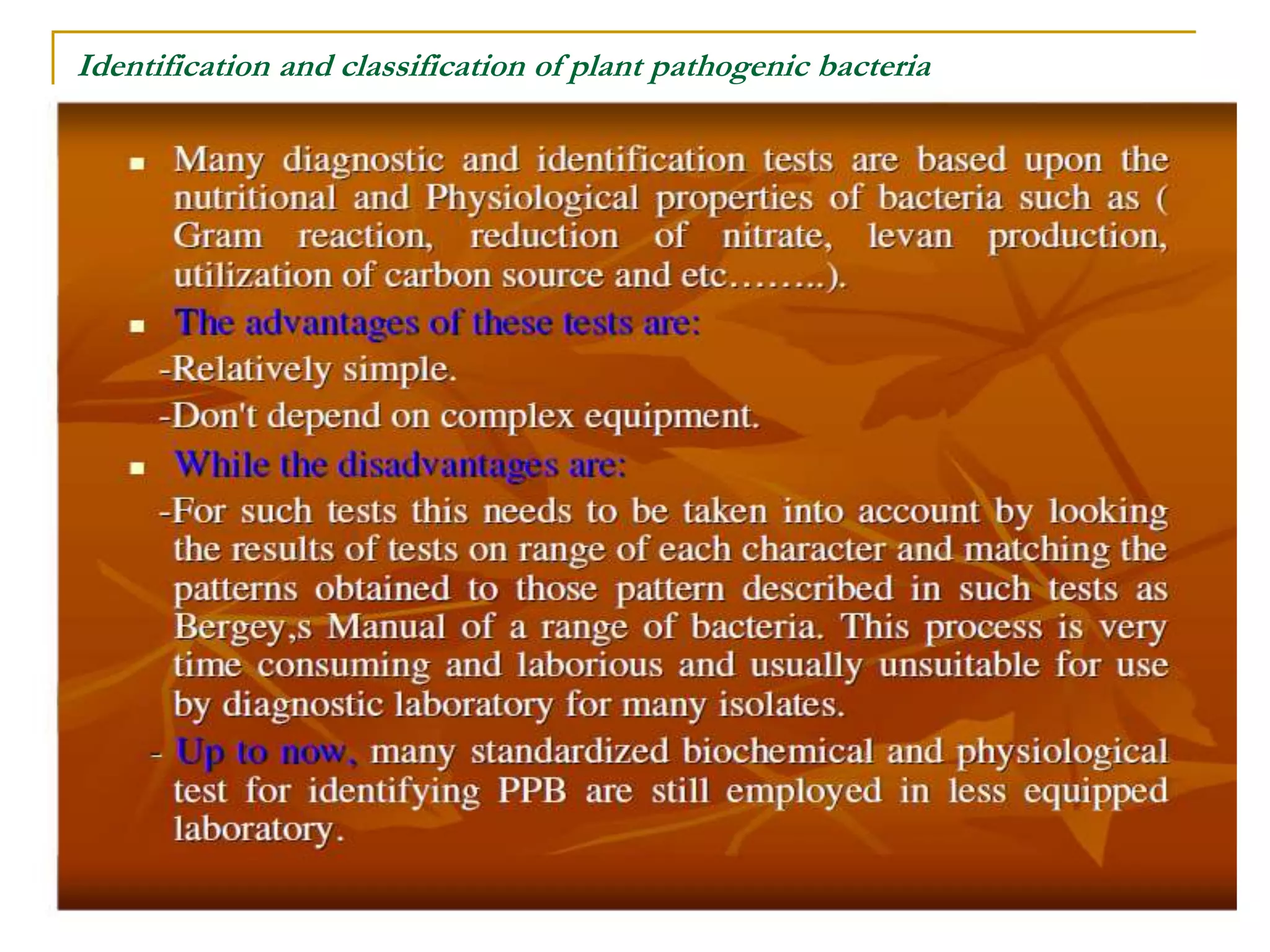 Chapter_ 3 Plant pathogenic Bacteria _identification and classification.ppt