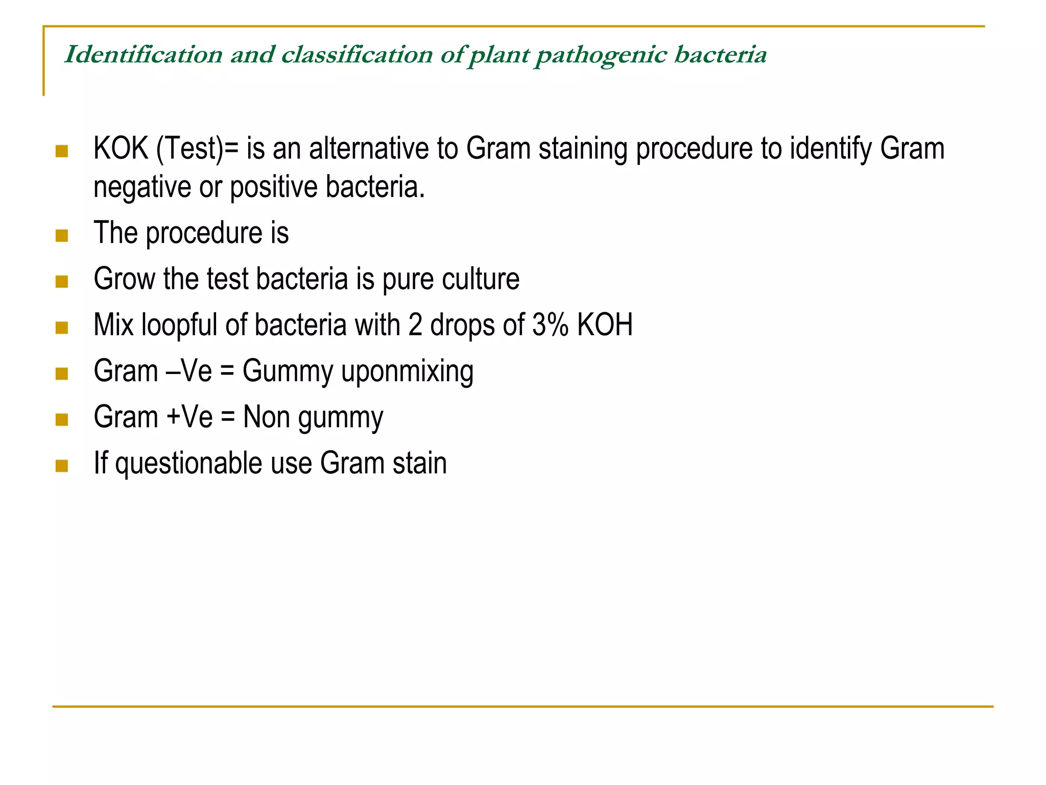 Chapter_ 3 Plant pathogenic Bacteria _identification and classification.ppt