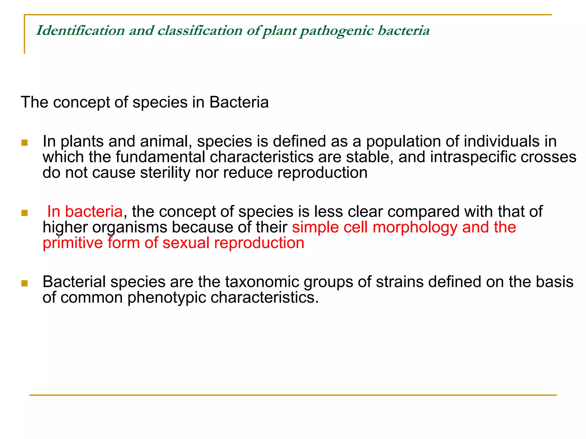 Chapter_ 3 Plant pathogenic Bacteria _identification and classification.ppt
