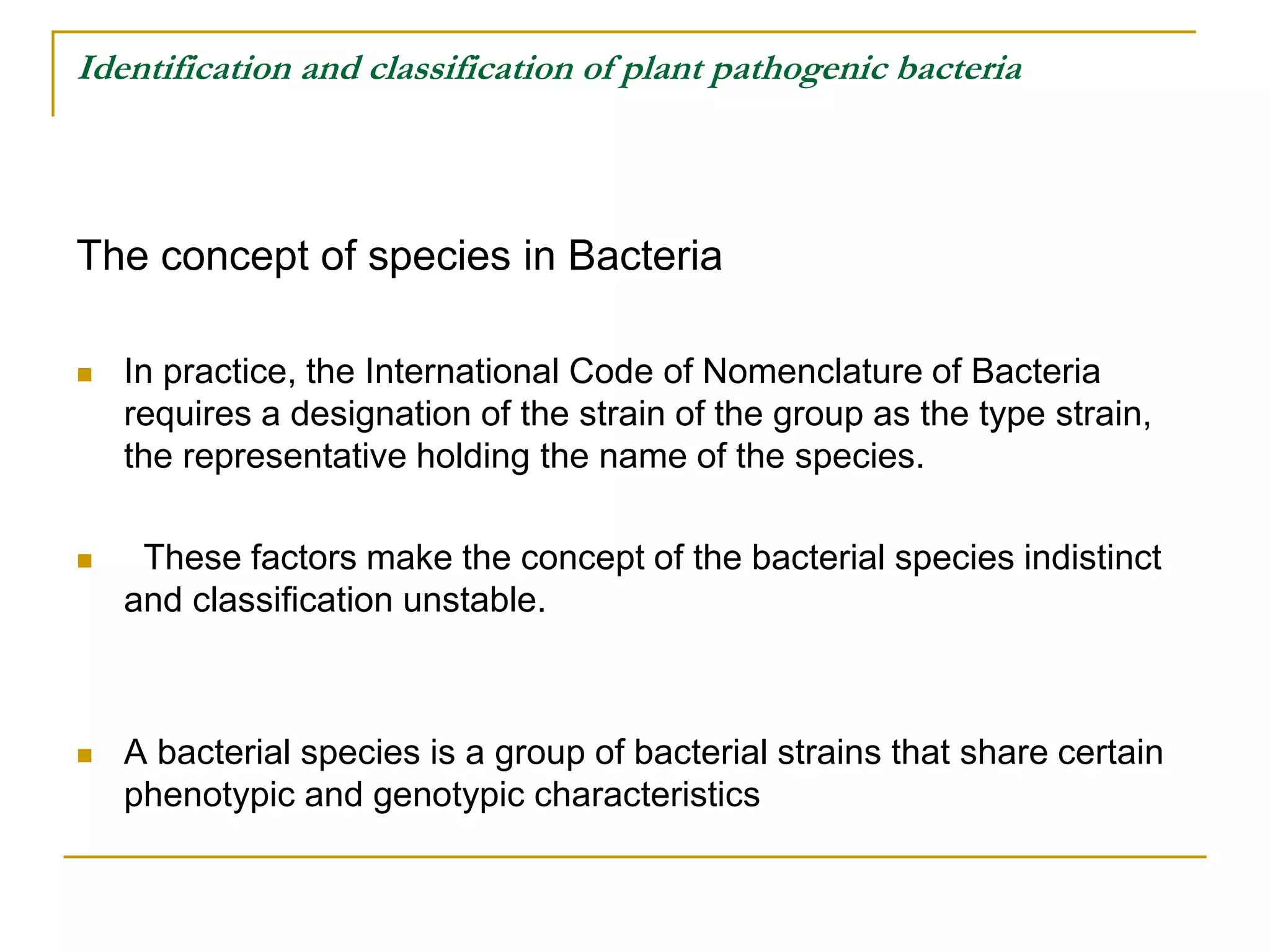 Chapter_ 3 Plant pathogenic Bacteria _identification and classification ...