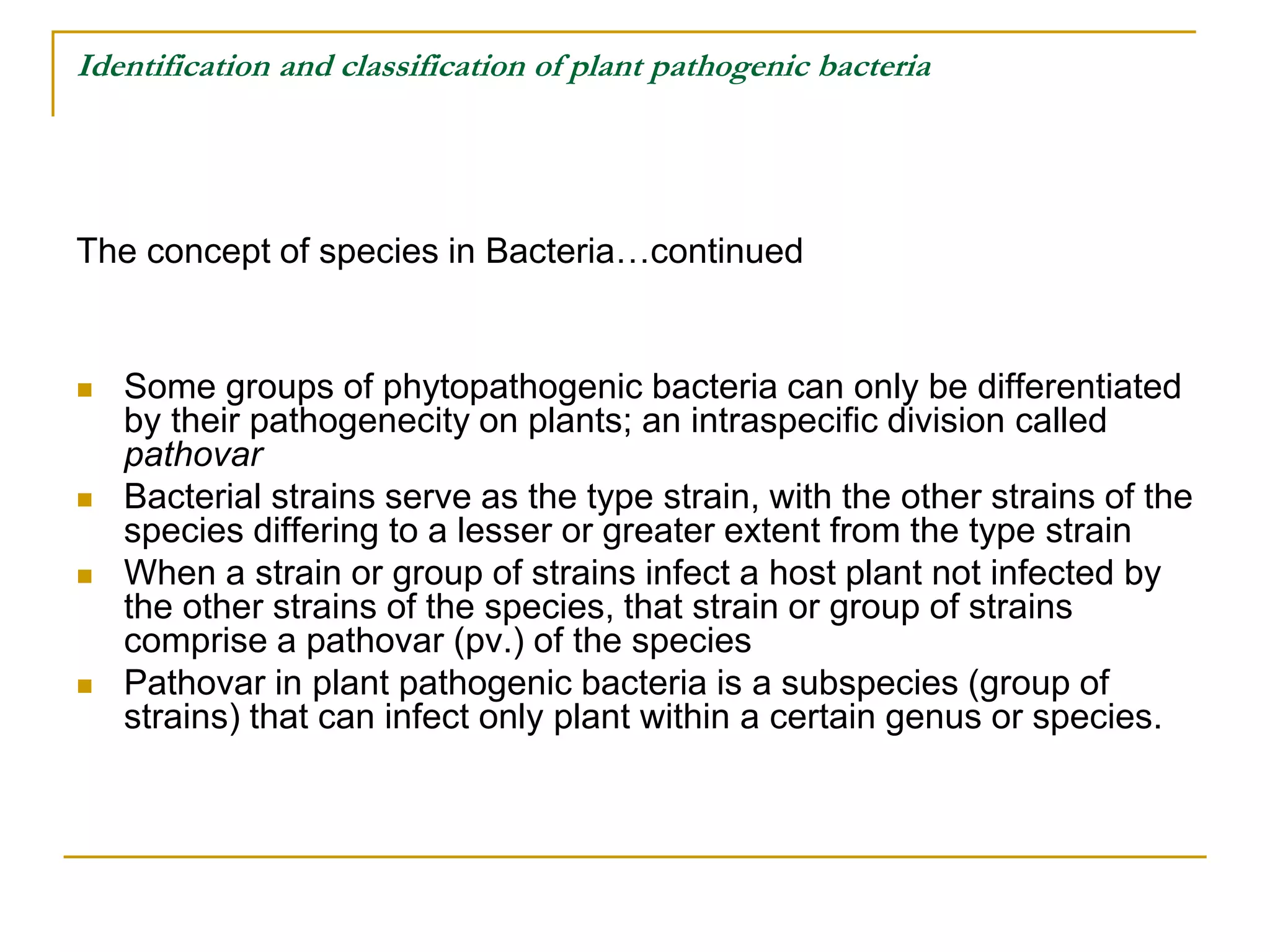 Chapter_ 3 Plant pathogenic Bacteria _identification and classification ...