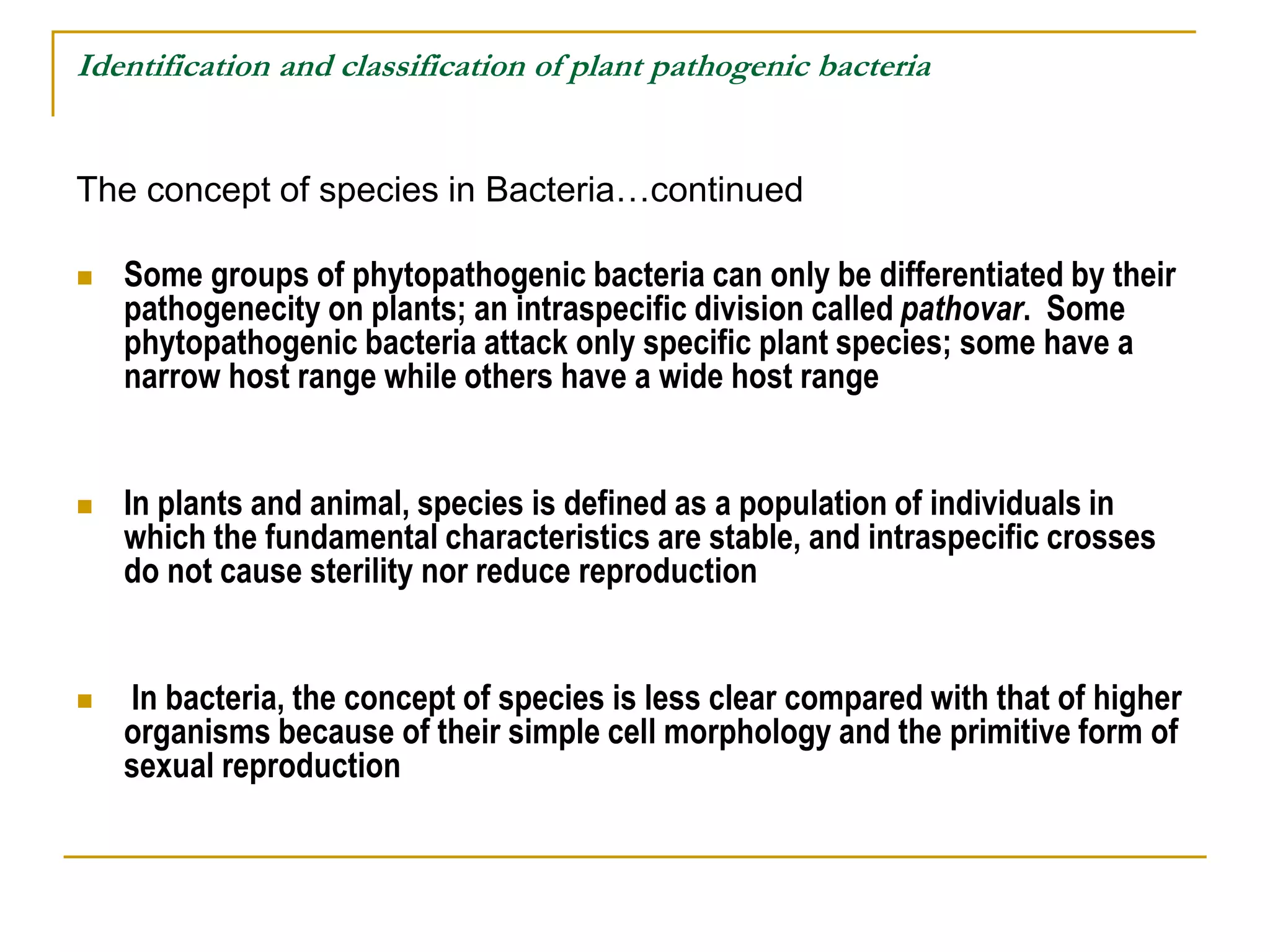 Chapter_ 3 Plant pathogenic Bacteria _identification and classification.ppt