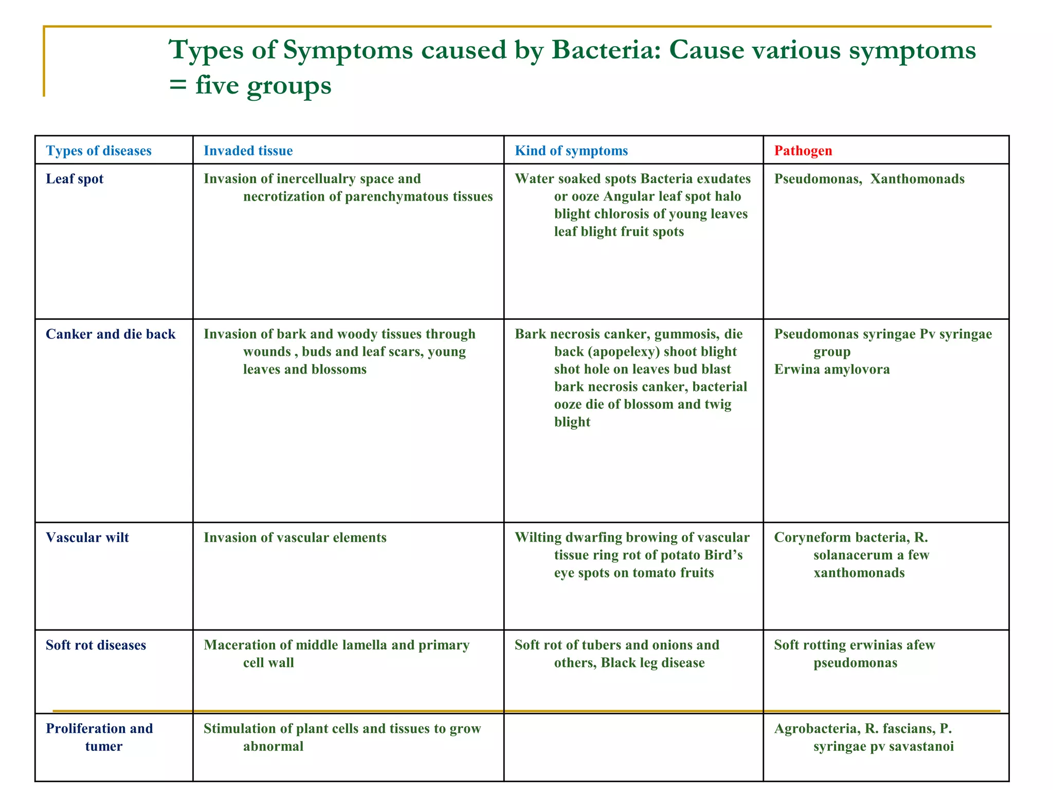 Chapter_ 3 Plant pathogenic Bacteria _identification and classification.ppt