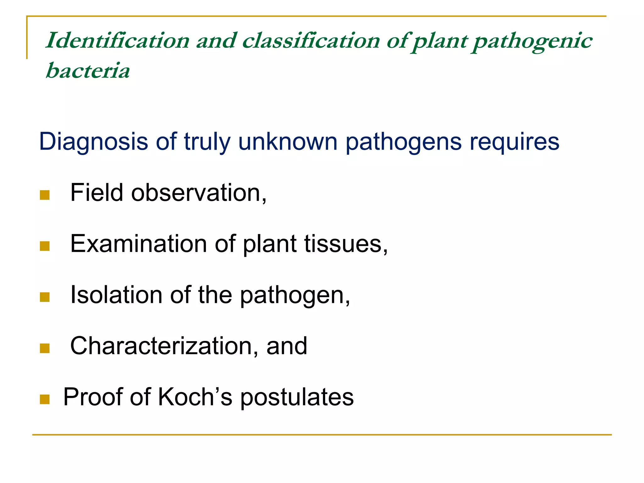 Chapter_ 3 Plant pathogenic Bacteria _identification and classification.ppt