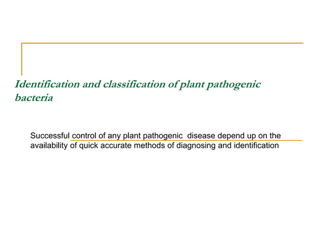 Chapter_ 3 Plant pathogenic Bacteria _identification and classification ...