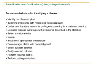 Chapter_ 3 Plant pathogenic Bacteria _identification and classification.ppt