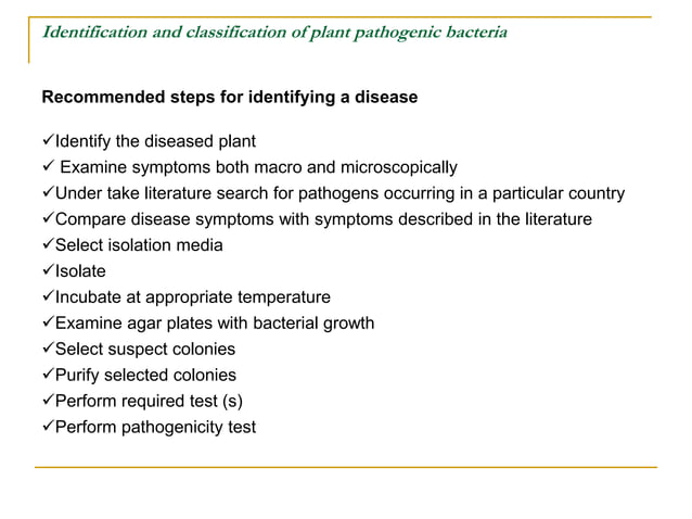Chapter_ 3 Plant pathogenic Bacteria _identification and classification ...