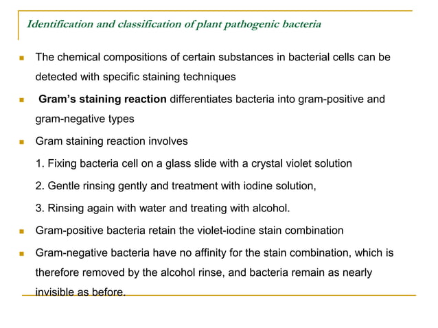 Chapter_ 3 Plant pathogenic Bacteria _identification and classification ...