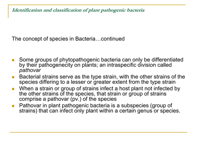 Chapter_ 3 Plant pathogenic Bacteria _identification and classification ...