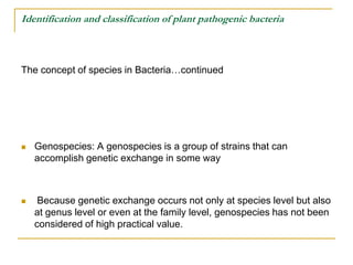 Chapter_ 3 Plant pathogenic Bacteria _identification and classification.ppt