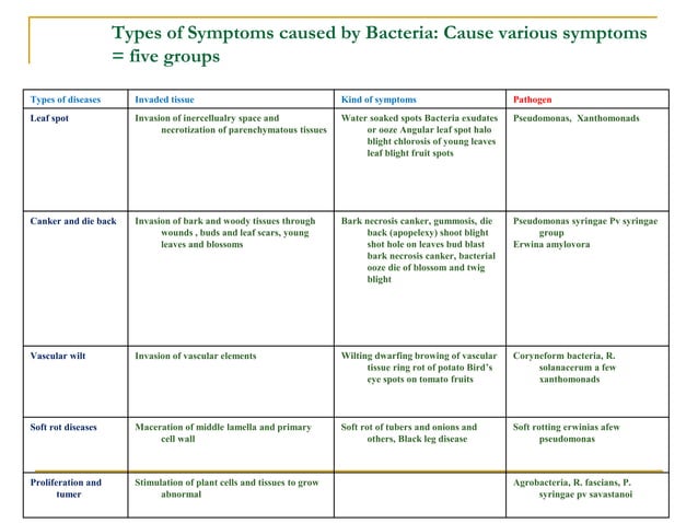 Chapter_ 3 Plant pathogenic Bacteria _identification and classification ...
