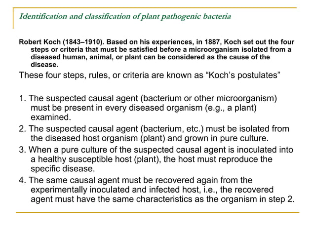 Chapter_ 3 Plant pathogenic Bacteria _identification and classification ...