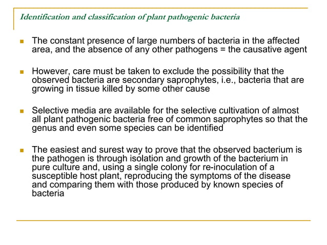 Chapter_ 3 Plant pathogenic Bacteria _identification and classification.ppt