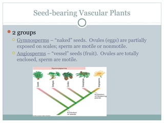 Chapter 3 plants | PPT | Gardening | Home & Garden