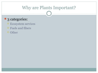Chapter 3 plants | PPT