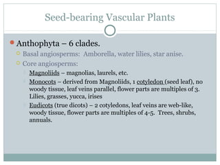 Chapter 3 plants | PPT