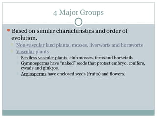 Chapter 3 plants | PPT