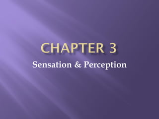 Chapter3powerpoint 160111190733 | PPT