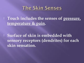 S. Sherrill - General Psychology - Chapter 3 power point | PPT