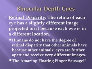 S. Sherrill - General Psychology - Chapter 3 power point | PPT