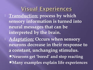 S. Sherrill - General Psychology - Chapter 3 power point | PPT