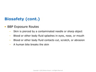 Chapter 3 powerpoint | PPT