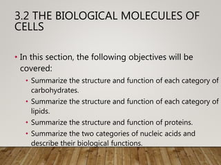 Chapter 3 The Organic Molecules of Life | PPTX