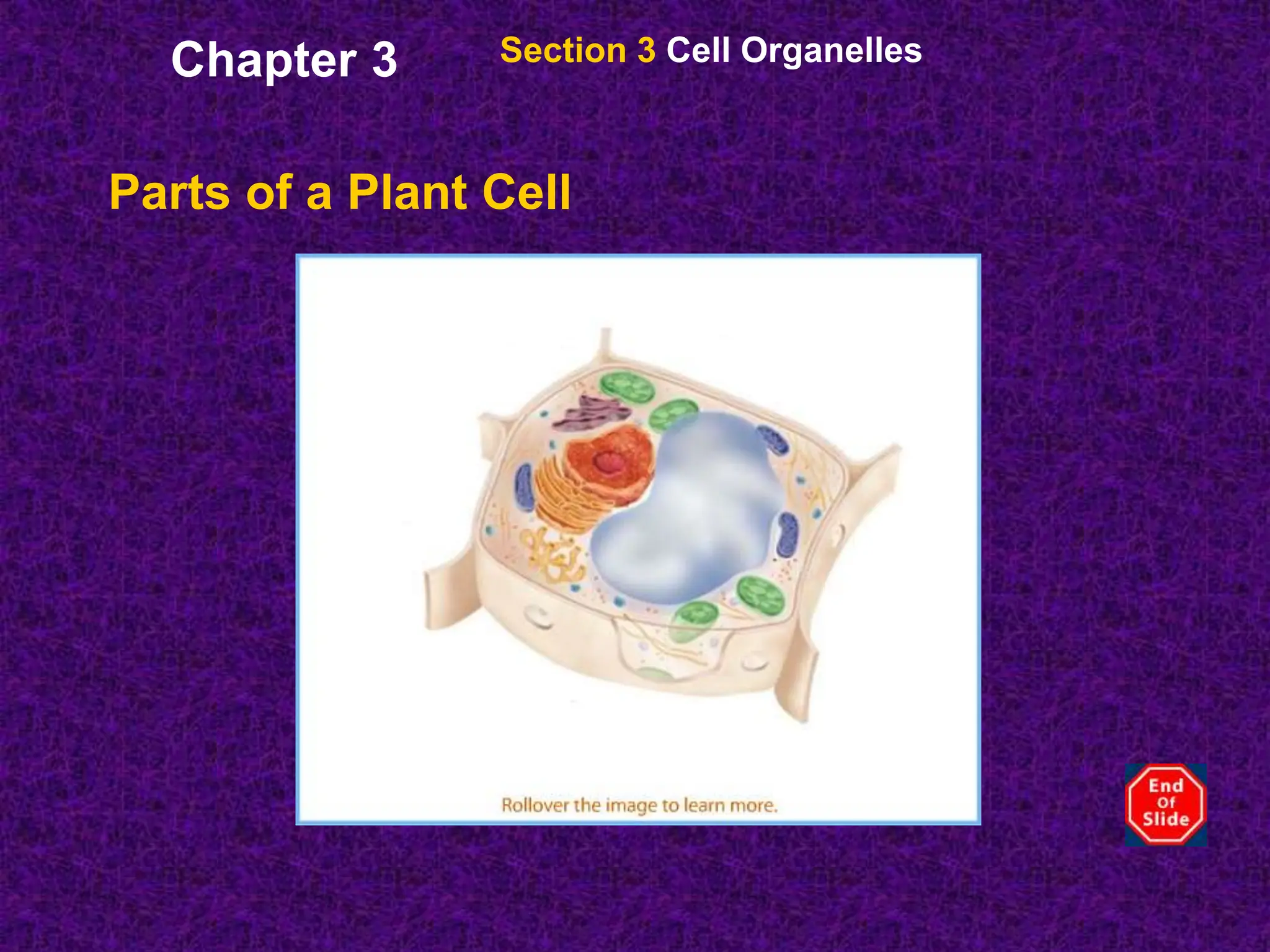 chapter 3 power point.pptc ccvcvvscscddcd | PPT