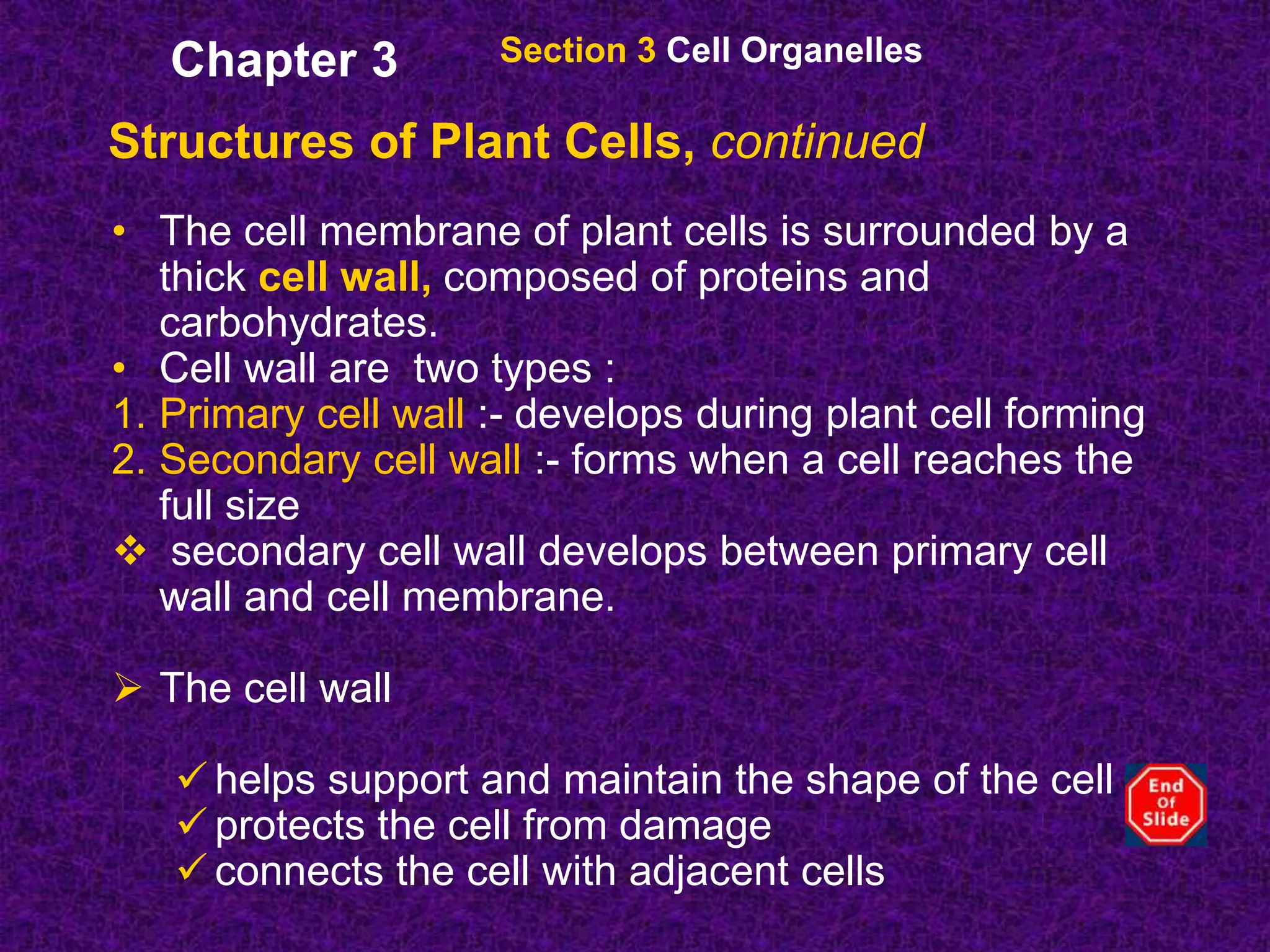 chapter 3 power point.pptc ccvcvvscscddcd | PPT
