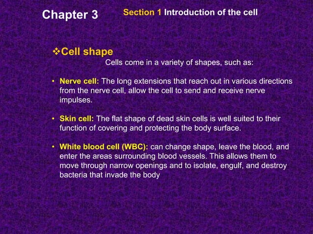 chapter 3 power point.pptc ccvcvvscscddcd | PPT