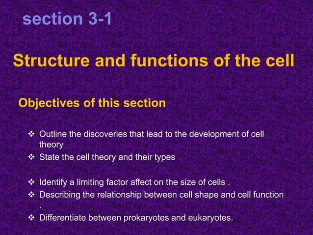 chapter 3 power point.pptc ccvcvvscscddcd | PPT