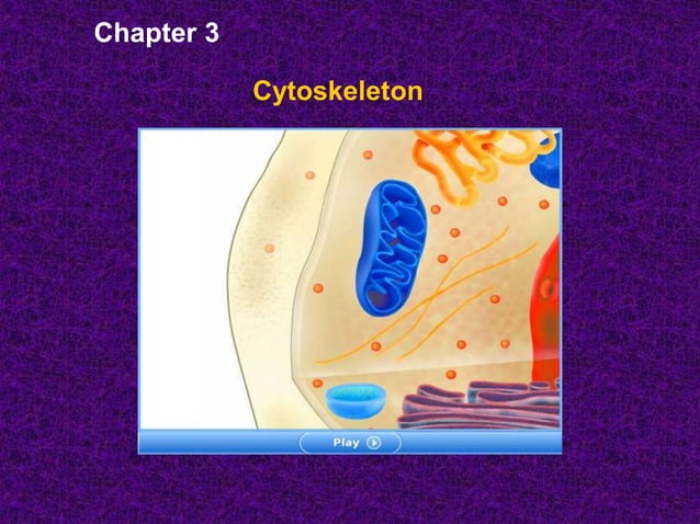 chapter 3 power point.pptc ccvcvvscscddcd | PPT